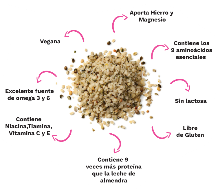 Semillas de Hemp – MESTiiZA